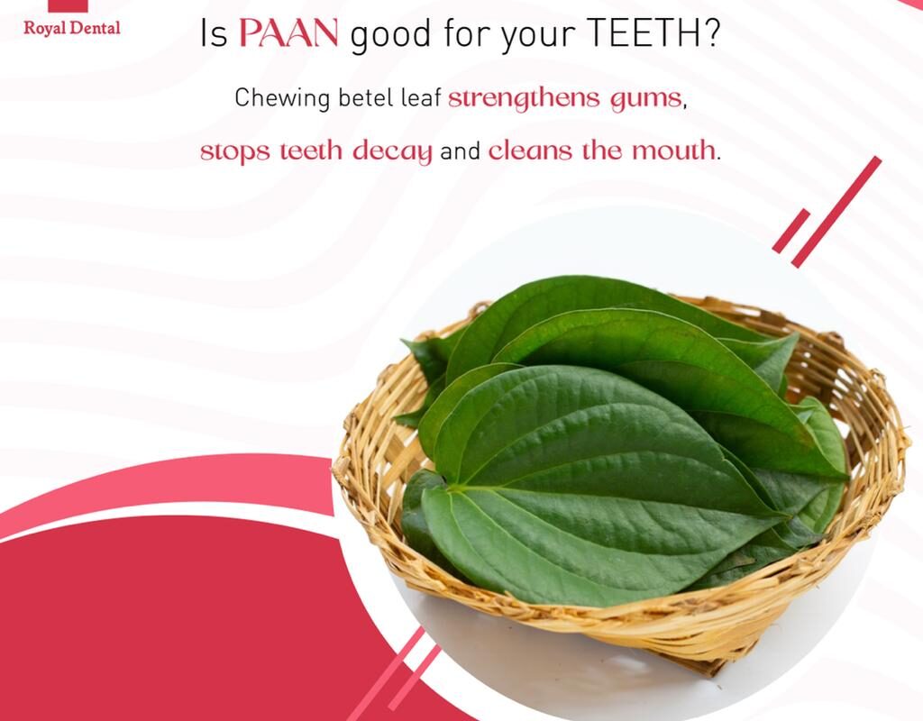 Is Paan Good For Your Teeth Royal Dental Clinics Blog Is Paan Good For Your Teeth Royal Dental Clinics Blog